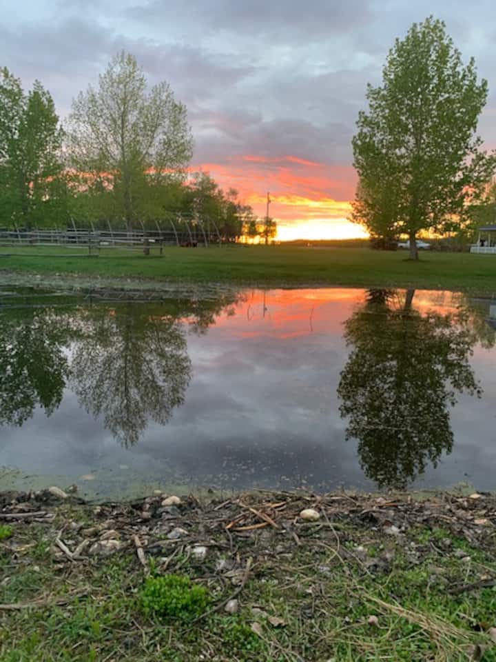 Buffalo Lake Vacation Rentals & Homes - Alberta, Canada | Airbnb