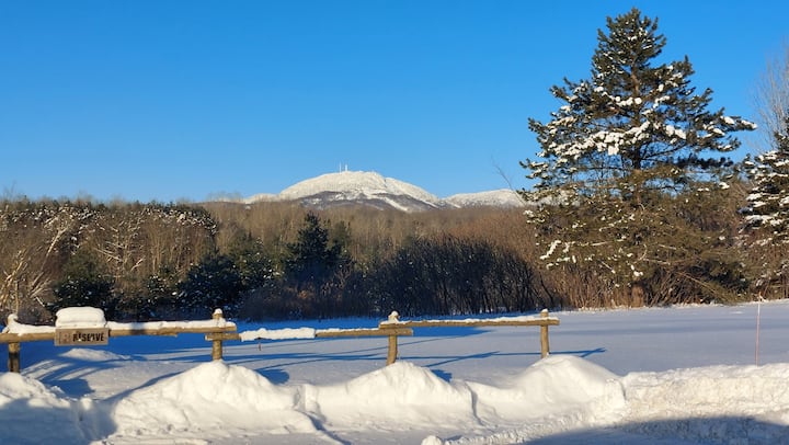 L'appart D'endurance Aventure Vue Sur Mont-orford - Magog