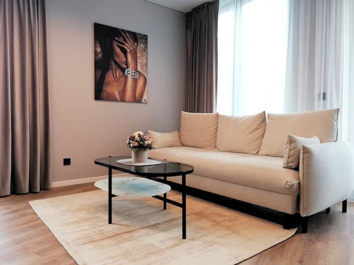 Spacious Modern Apartment Next To The Old Town 2 - Vilnius