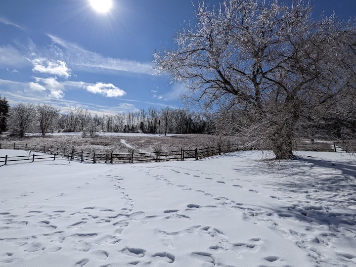 Quiet Spacious Home, Mountain Views, Ski Access - New Paltz, NY