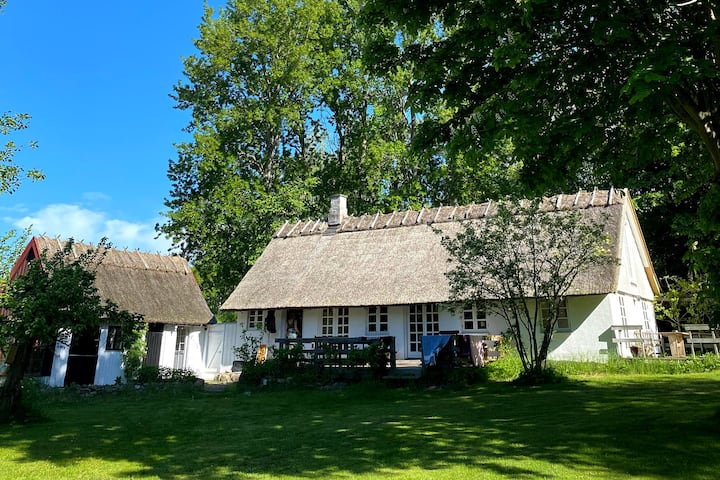 Krogebæk - Denmark
