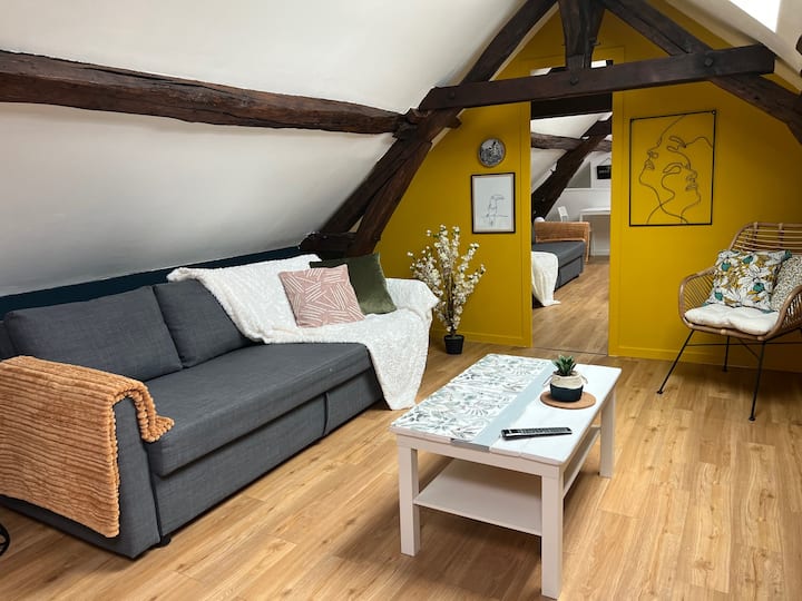 Studio Neuf, Centre Ville -Wifi & Parking Gratuit - Sens