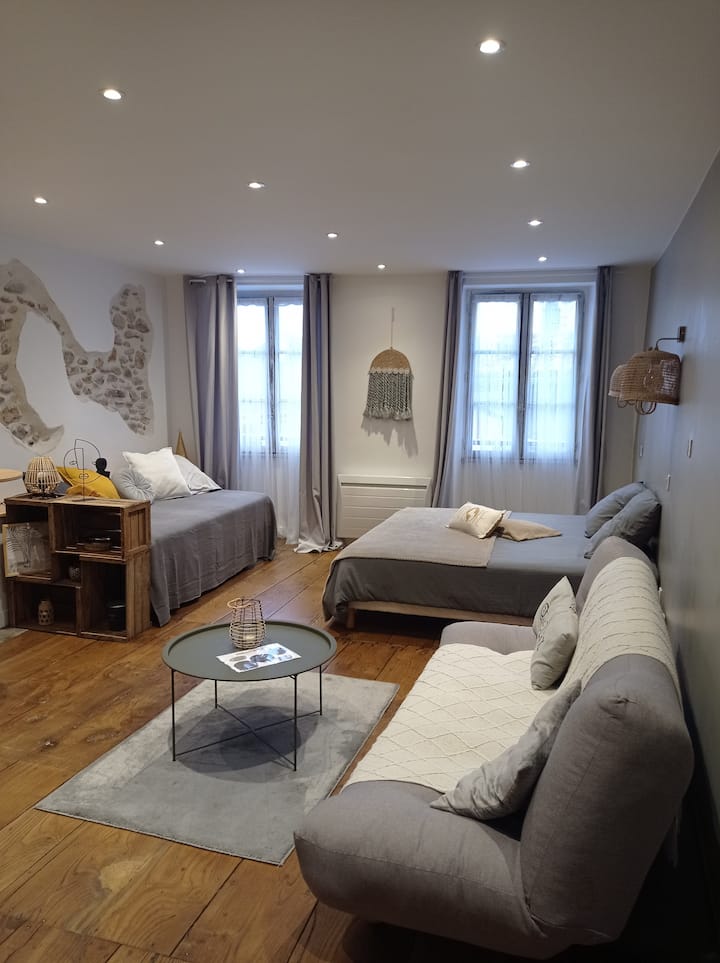 Romane, Suite Individuelle Privée De 24 M2. - Saint-Jean-Pied-de-Port