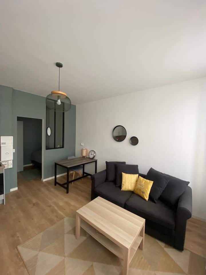 Cosy Studio Boulevard Victor Hugo - Lille