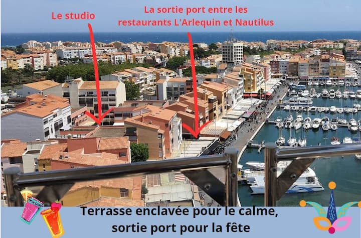 Rés St-clair -  Centre Port, Climatisation, Wifi . - Agde