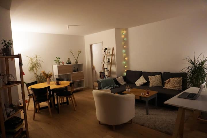 Agréable Chambre En Plein 7e Arrondissement - Lyon
