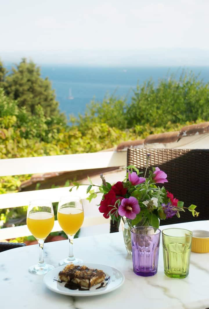 Paxos Secret Studios 2 - Paxi