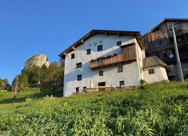 Cesa Del Panigas - La Tana - Alleghe