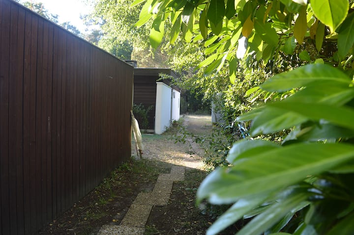 Maison Lac Et Océan - Étang de Lacanau