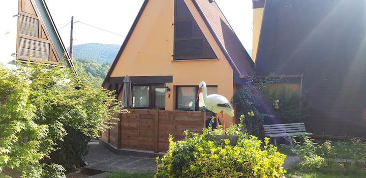 Gîte Pinot Blanc Fonctionnel + Terrasse & Parking - Alsace