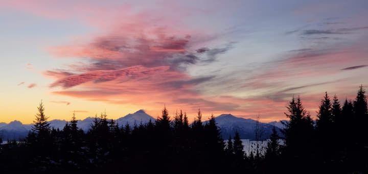 Spruceview (Free Breakfast) + Rental Car Option. - Homer, AK