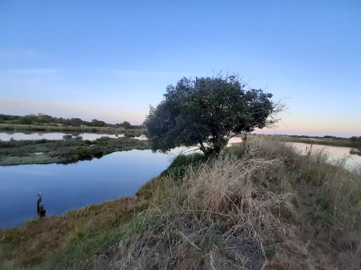 Entre La Mer, La Forêt Et Les Marais Salants - Les Sables-d'Olonne
