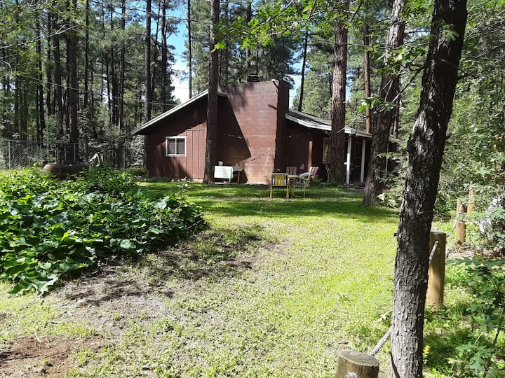 Pinetop Hideaway - Pinetop-Lakeside, AZ