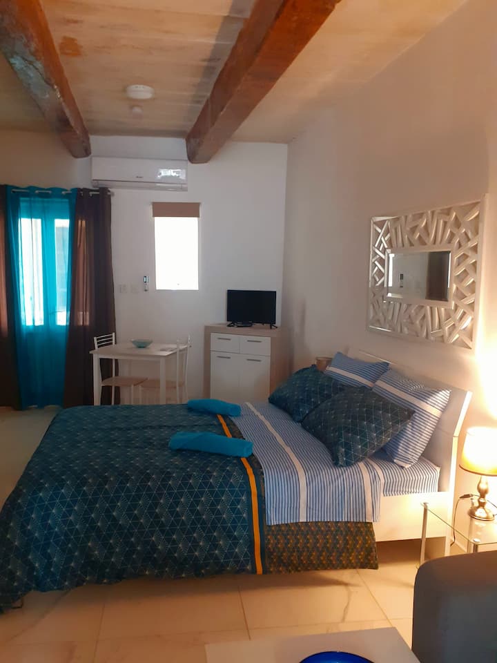 Garden View Studio Maisonette In Valletta - Valletta