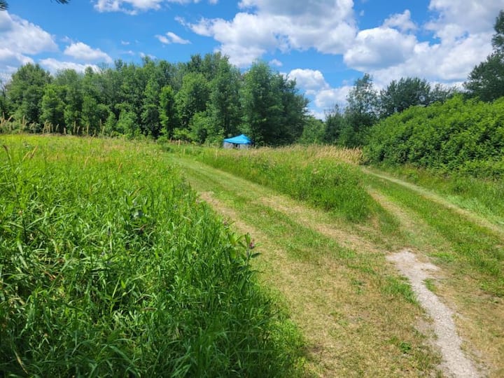 Private Campsite On The Tay River - Perth, ON, Canada