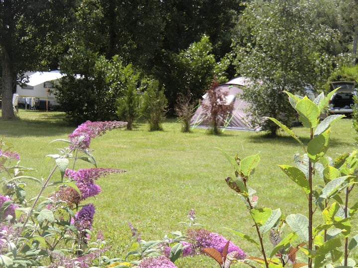 Emplacement Nu De Camping Proche Du Vignoble - Saint-Aignan-sur-Cher