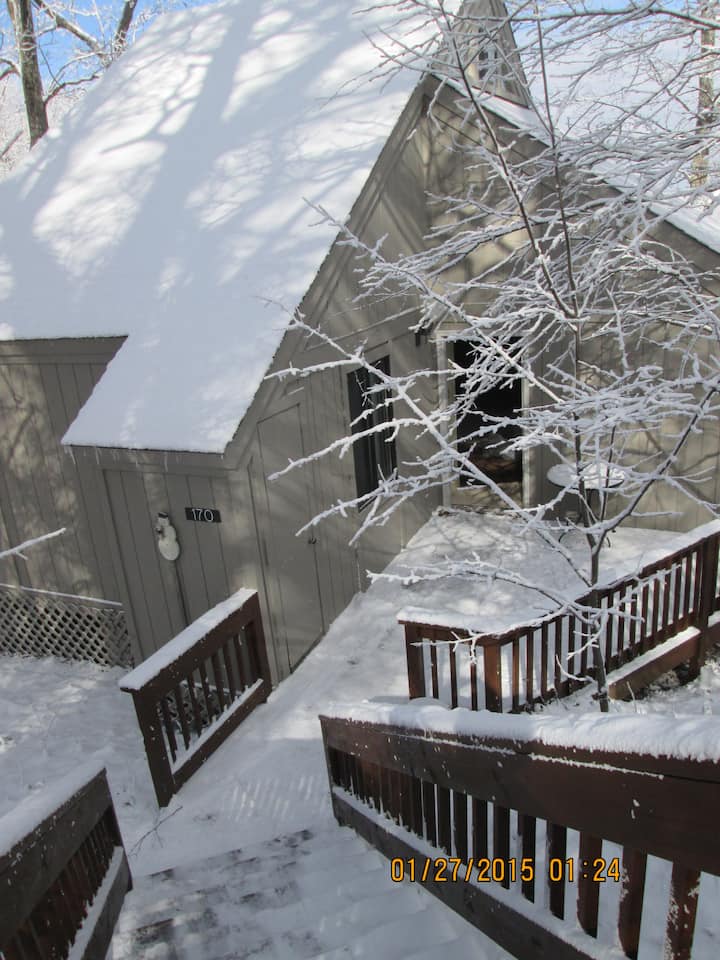 Cozy Ski Cottage - Wintergreen - Wintergreen
