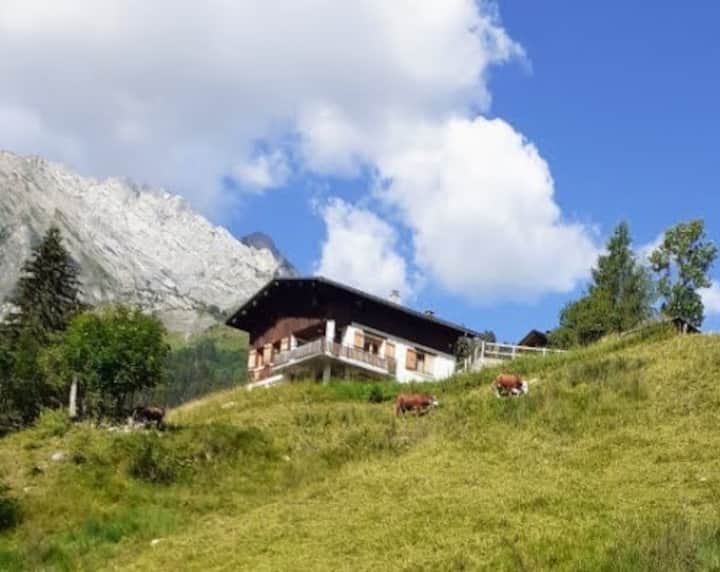 Bel Appartement En Chalet Traditionnel - La Giettaz