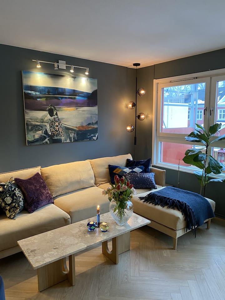 Lyst Og Nyoppusset På Vålerenga - 奧斯陸