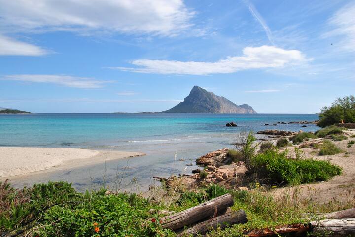 Sardinia Holiday Rentals & Homes - Italy | Airbnb