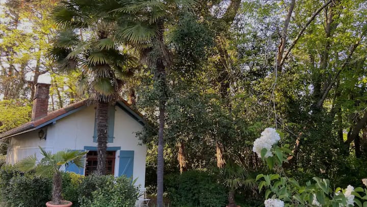 Petite Maison Individuelle Dans éCrin De Verdure - Tarnos