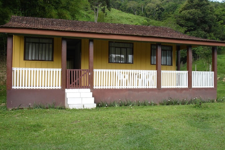 Bosque - Curitiba