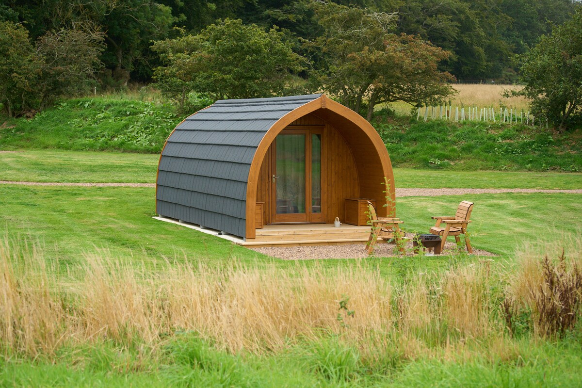 Willow Pod Luxury Glamping Pod (No Hot tub) in Coldingham, Scotland ...