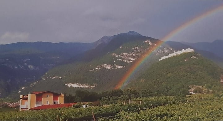 Fra I Castelli Della Vallagarina 3 - Rovereto
