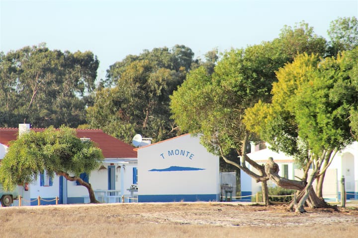 Blue House - Porto Covo