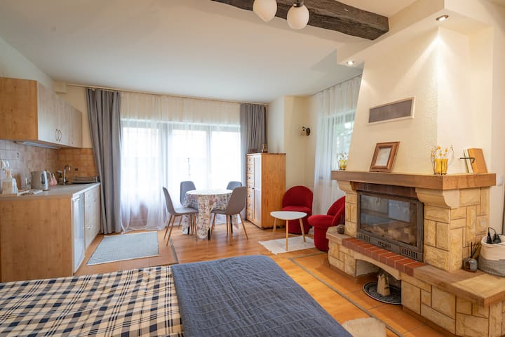 Studio W Zakopanem - Zakopane