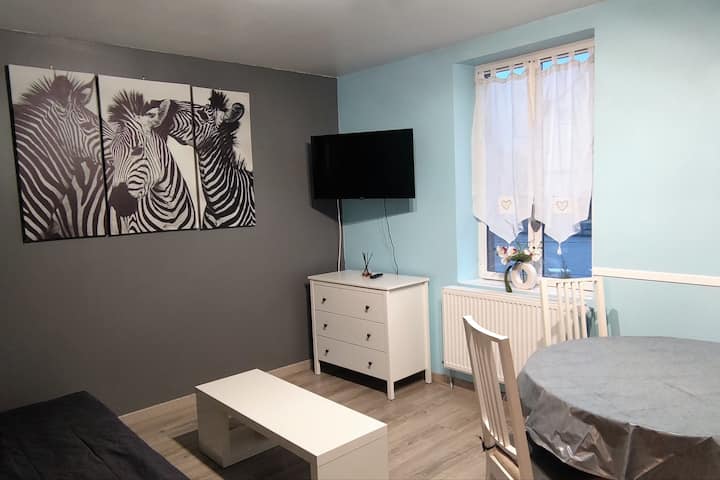 Logement Entier "Les Colibris" Au Calme Dachstein - Black Forest