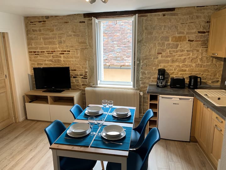 Très Joli Appartement 2 Pièces Dijon Centre Ville - Dijon