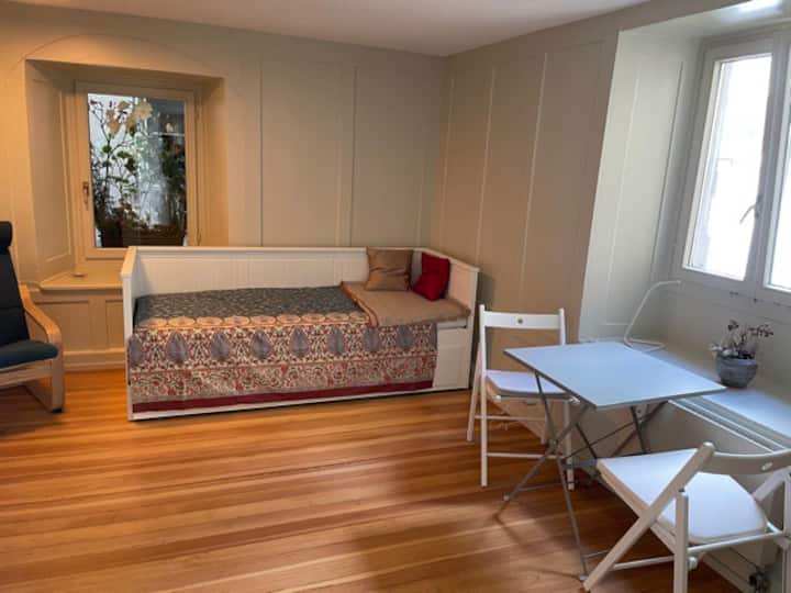 Cosy 1-zimmer-wohnung In Der Altstadt Zürich - Zürich