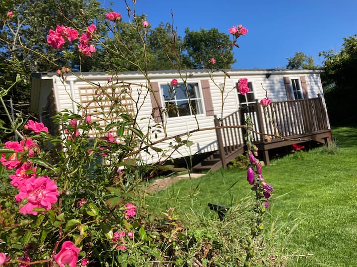 Superb Location, Sunny 2-bed, Eco Woodland Retreat - Porthleven