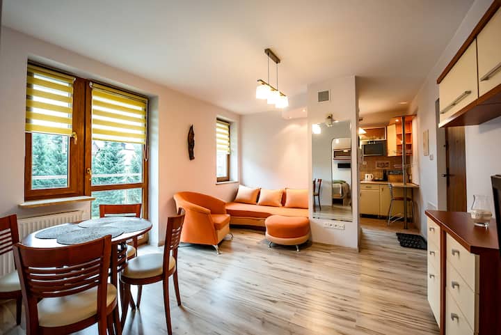 Kraszewskiego Apartament 5 Sun&snow - Krynica-Zdrój