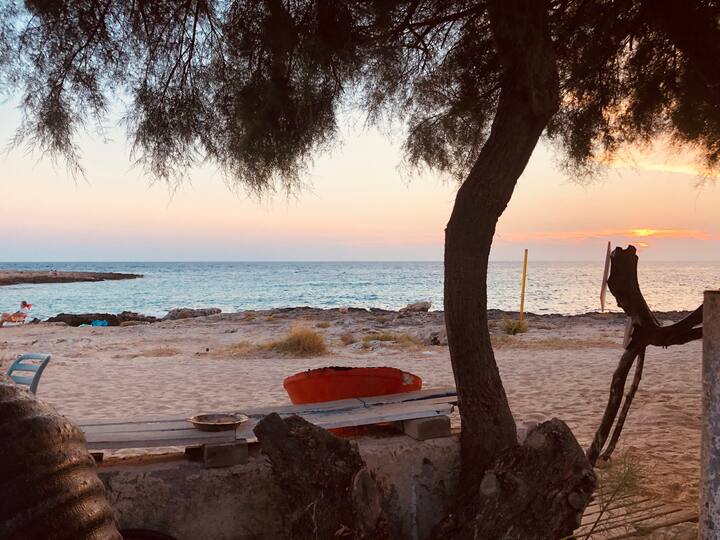 Appartement En Bord De Mer - Lutezia - Punta Prosciutto