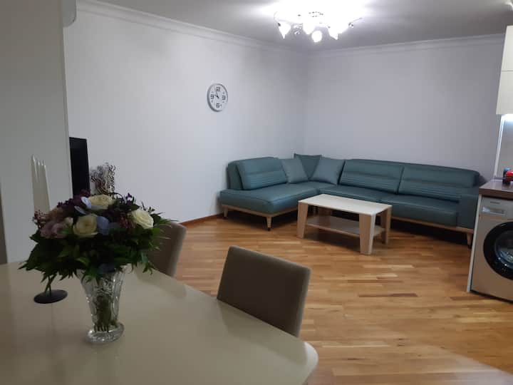Wonderfull Apartment On The Center - Baku