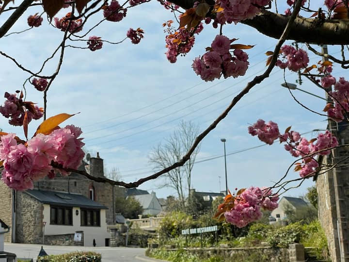Grande Maison Familiale Sur La Côte De Granit Rose - Lézardrieux