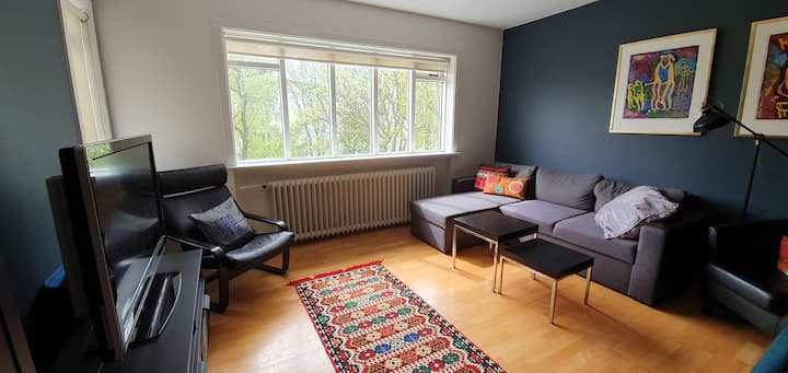 Entire 3 Room Apartment Close To City Center. - Reykjavík