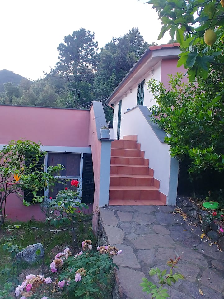 Terrace On The Green - Monterosso al Mare