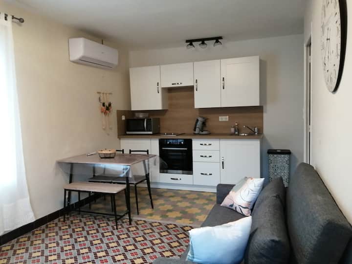 T2 Climatisé Jardin Chien Admis Minimum 3 Nuitées - Bédarieux