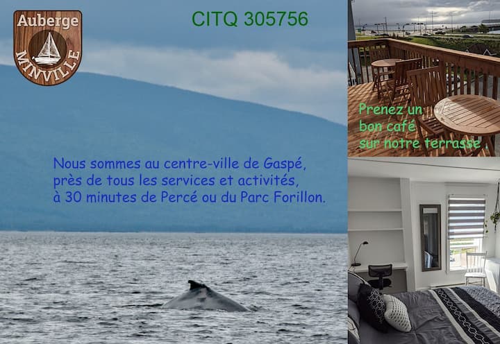 Plein Coeur Du Centre Ville De Gaspé - Gaspé