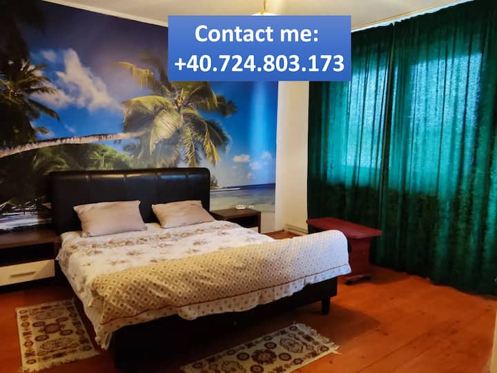 Vila Spatioasa Cu Deschidere La Lacul Buftea - Buftea