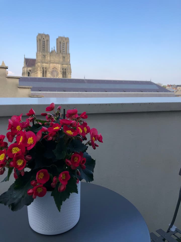 Studio Cosy Vue Cathédrale - Reims