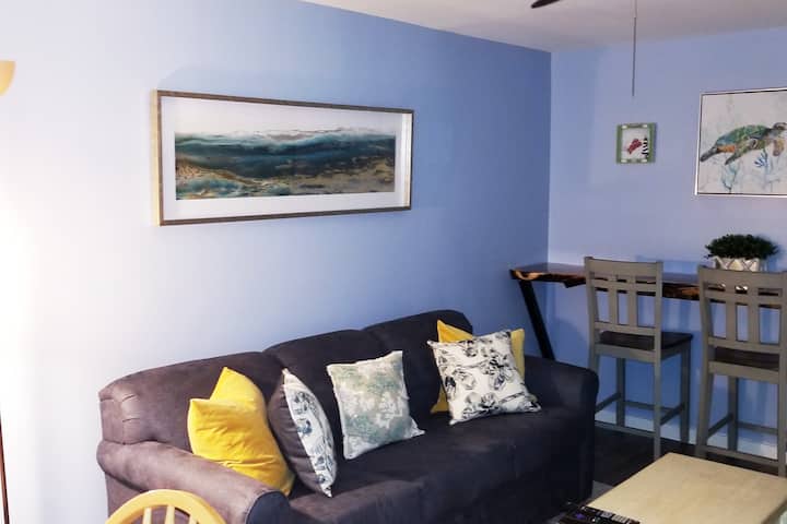 New!!! Ocean View 1b1b Condo On Beach Sleeps 3-5 - Stone Harbor, NJ