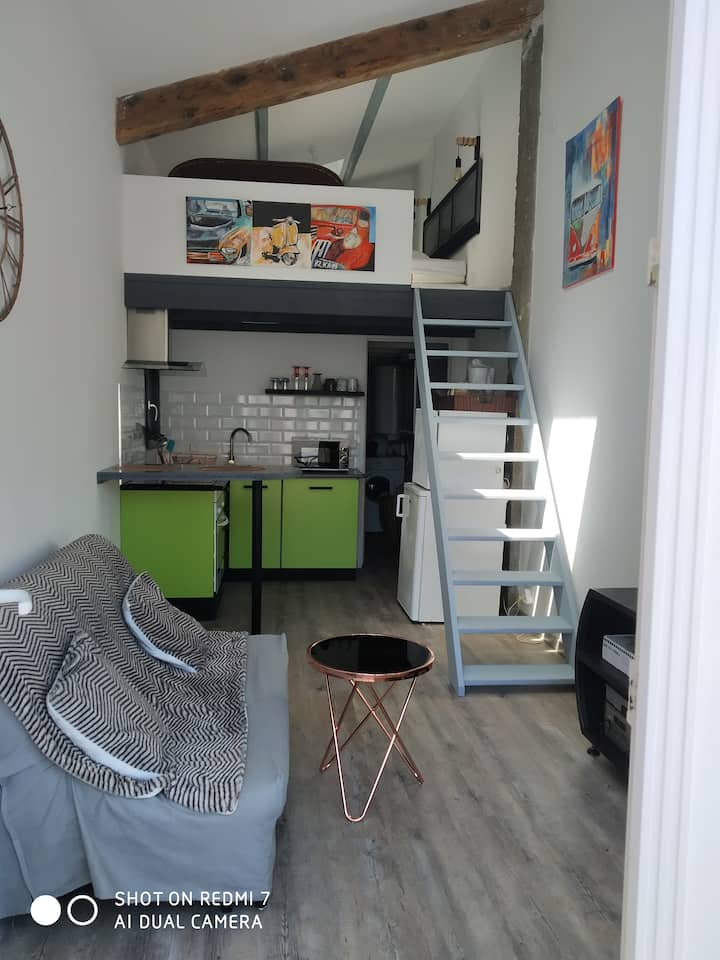 Duplex Maison Du Voyage - Avignon