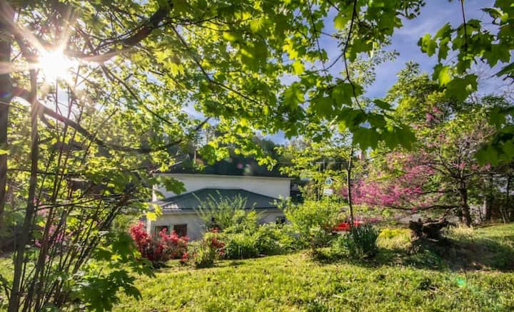 Perfect Basecamp!  3b/3bath Historic Downtown 🏡 - Fayetteville, WV