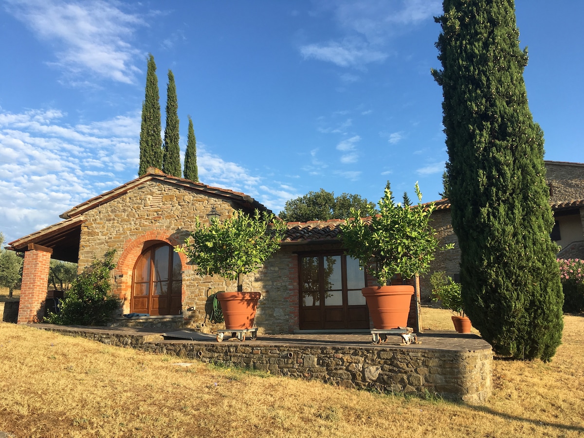 Escape To Tuscan Cottage Nestled Among Olive Trees - Poggio Al Pino ...
