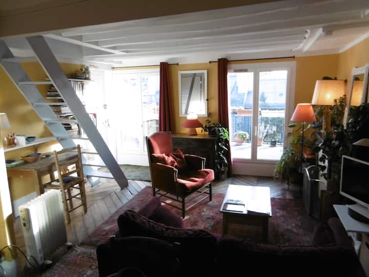 Duplex Central, Ensoleillé Et Plein De Charme. - París