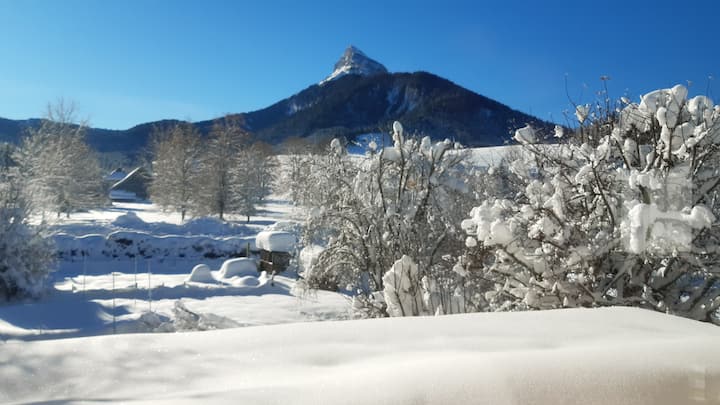 Séjour à La Découverte De L'esprit Montagne - Saint-Pierre-de-Chartreuse